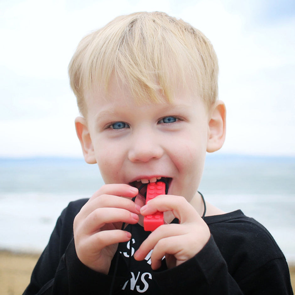 Oral Motor Chews - Sensory Play Store